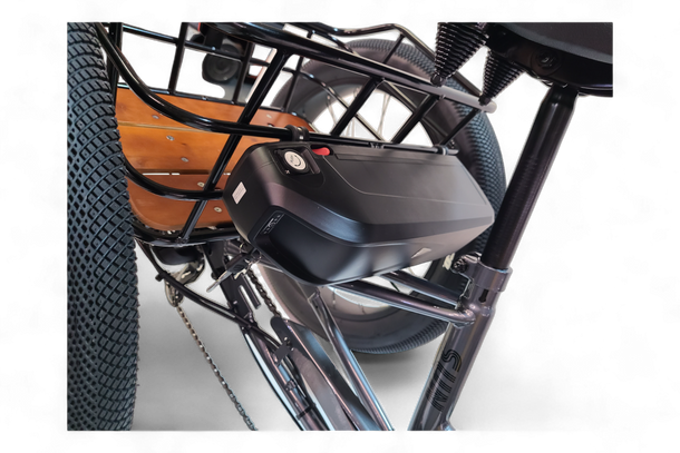 Sun Baja Electric Trike – ElectricTrike.com