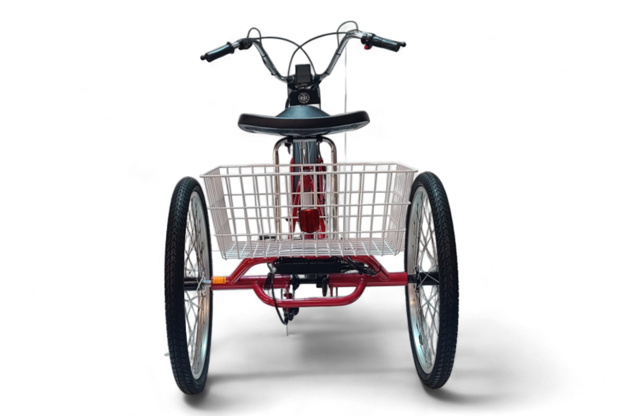 Sun 24" Traditional Electric Tricycle – ElectricTrike.com